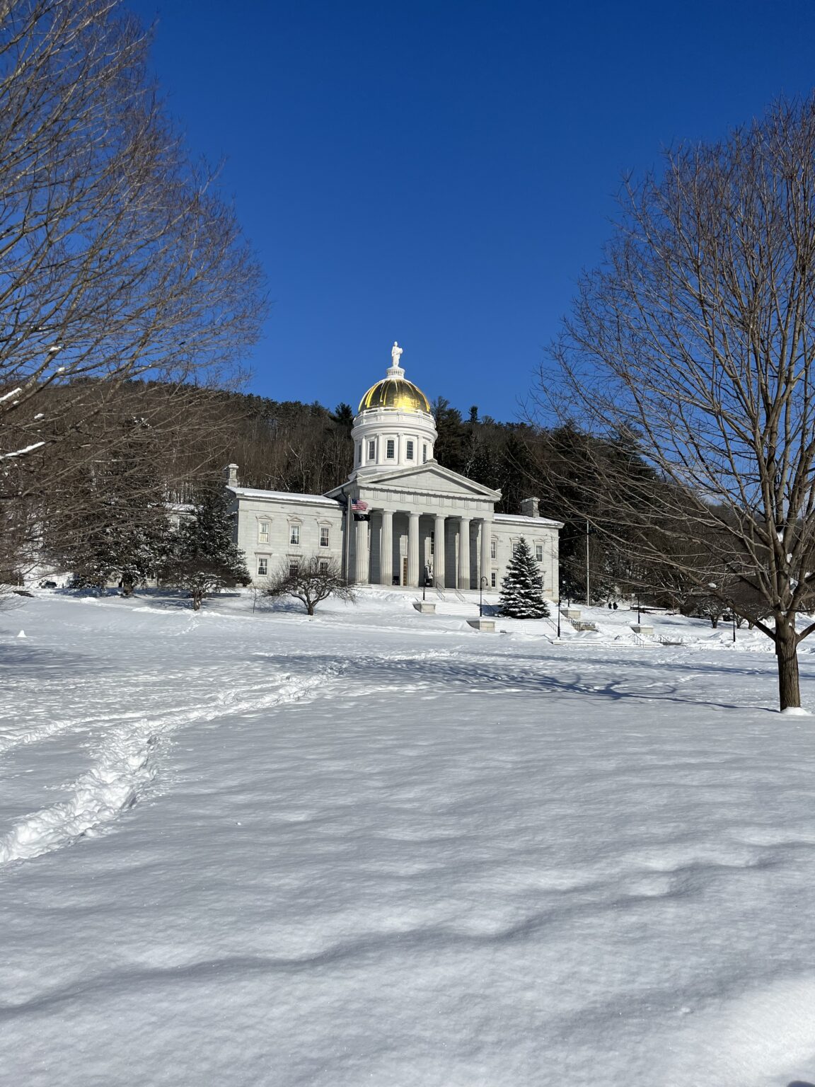2024 Session – Martine Larocque Gulick for Vermont Senate